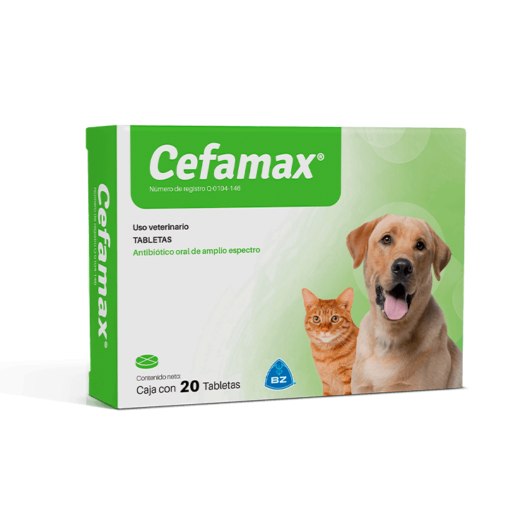 CEFAMAX 250 GR UNIDAD - Tienda para mascotas - Juguetes alimentos y ...